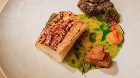 Yama: Upscale Pan-Asian cuisine downtown - Tastet